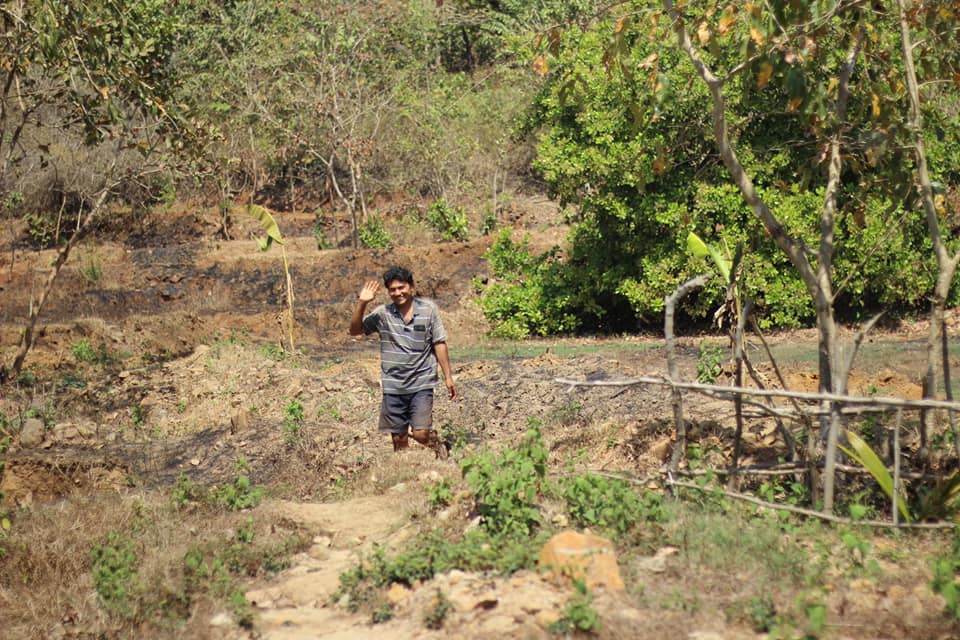 Organic farm in Goa needs volunteers -WWOOF in India - Voluntouring.org