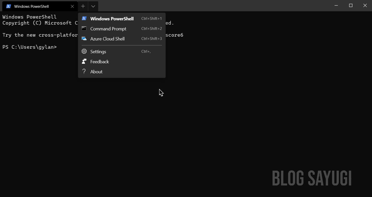 Sedikit Membahas Windows Terminal 1.0 - Saya Suka! - BLOG SAYUGI