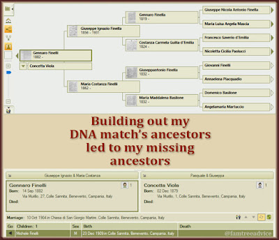 Fortify Your Family Tree: How to Figure Out a DNA Match