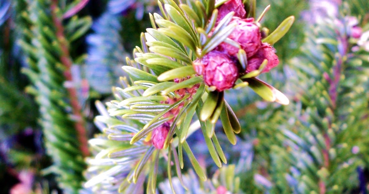 Art and Kits: The most precious possession...