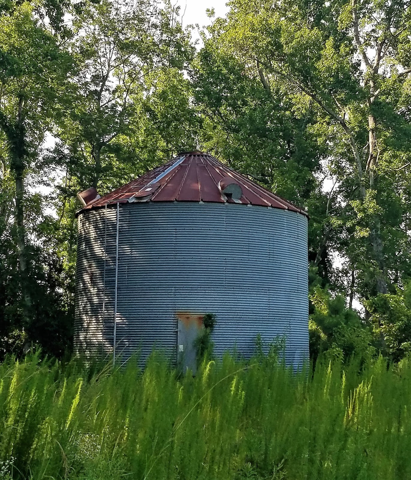 The Cooler Side of My Pillow: Meandering in Ivor Virginia