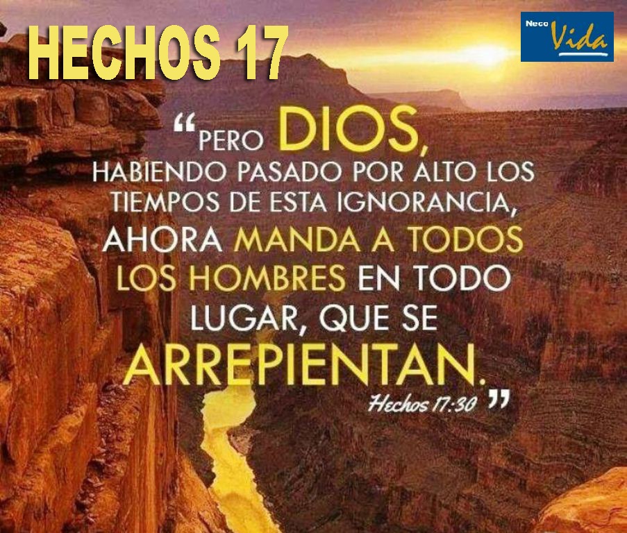Neco Vida: Leyendo... Hechos capítulo 17