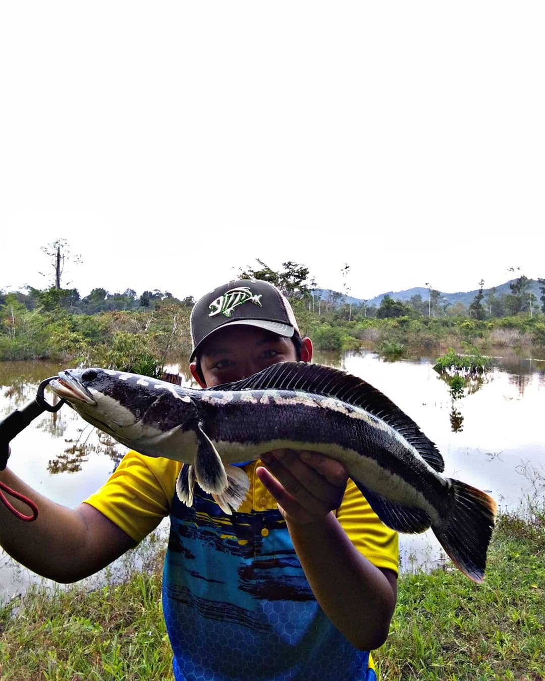 Ikan Tomang - Perumperindo.co.id