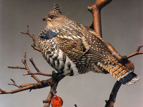 My Owl Barn: Wood Carved Decoys and Bird Sculptures by Award Winning ...