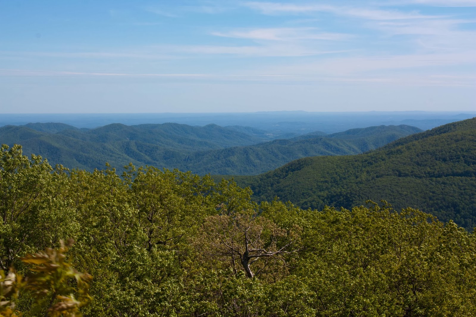 Hiking Shenandoah: Humpback Mountain