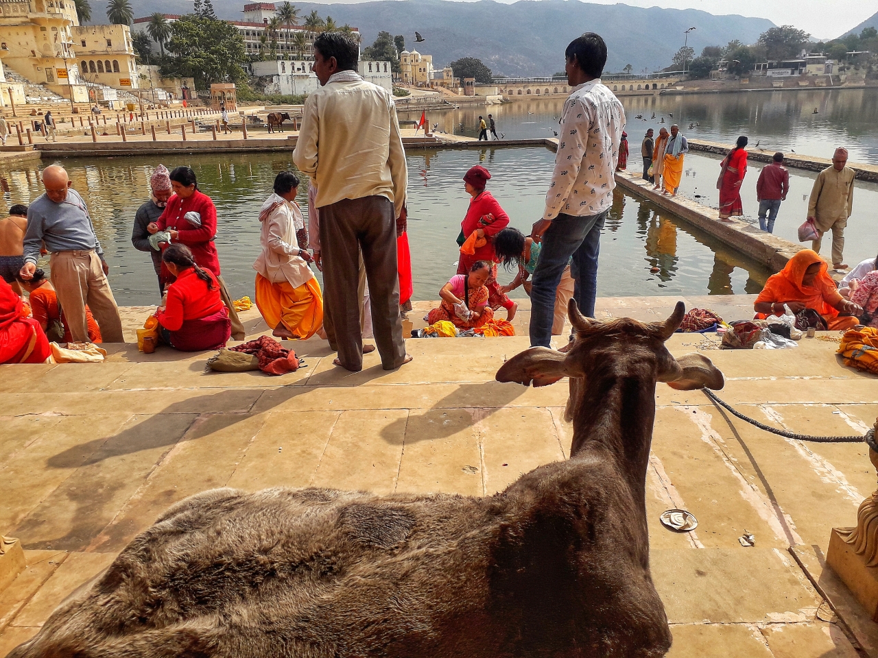 Things to do in the Sacred Town of Pushkar | India - Nomadic Experiences