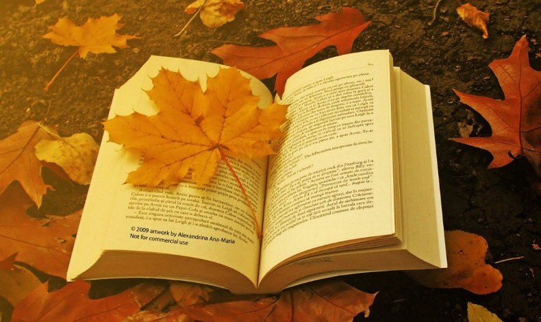 ASTRID MONCADA: ESPAÑOL 5 S 37