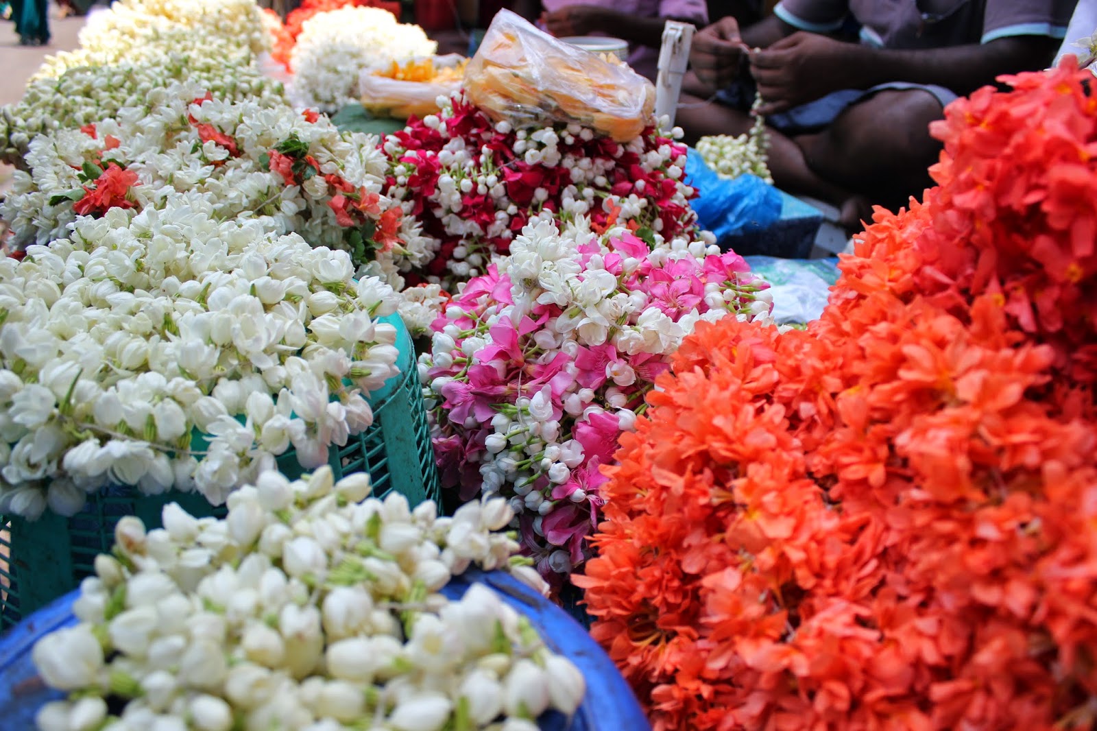 Expatliv: Some Matunga moments