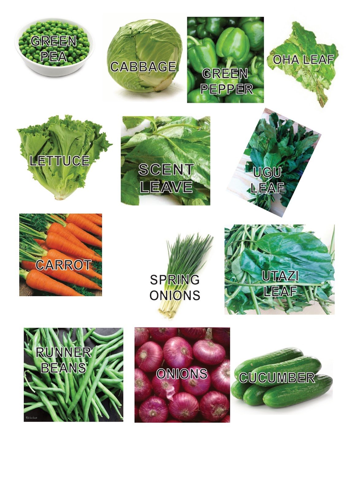 VEGETABLE - FOOD SURPLUS