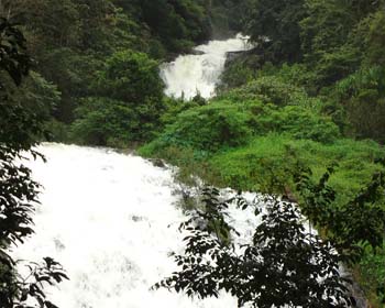 Abbey Falls Coorg | Things to do | Best time to visit - My Eyes Of India