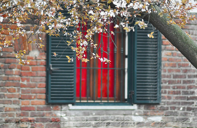 Torino In My eyes: April 2013