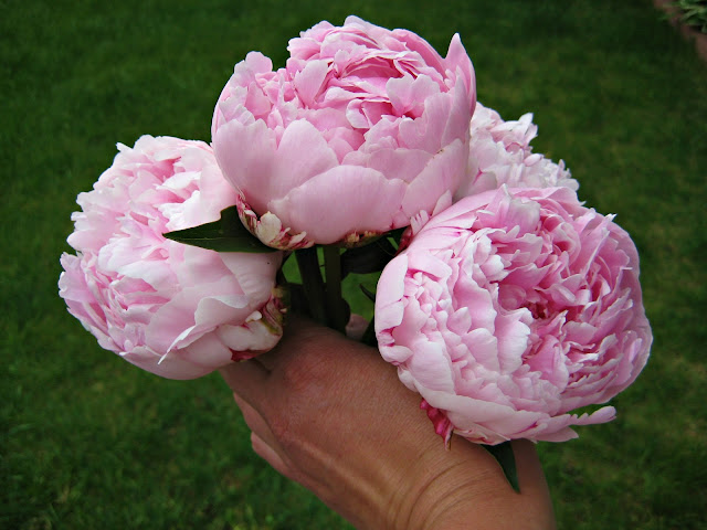 Happy At Home: Peony Love