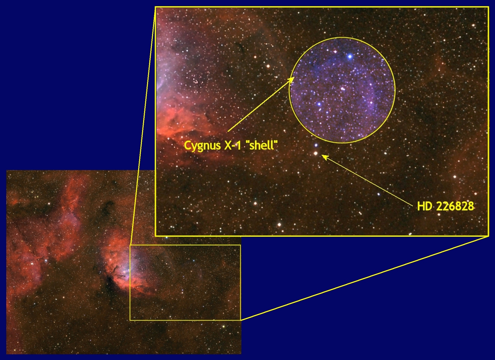 Halling Skies: Sharpless 2-101: The Tulip Nebula...