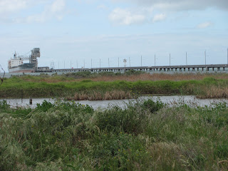 Barwon Blog: Boats, birds and bauxite