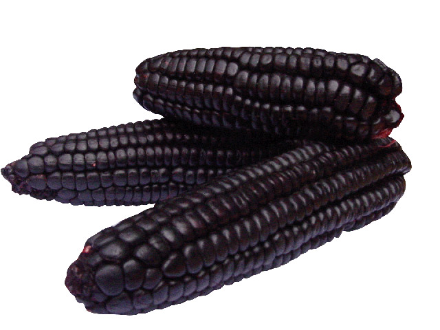 Purple Corn Health Benefits