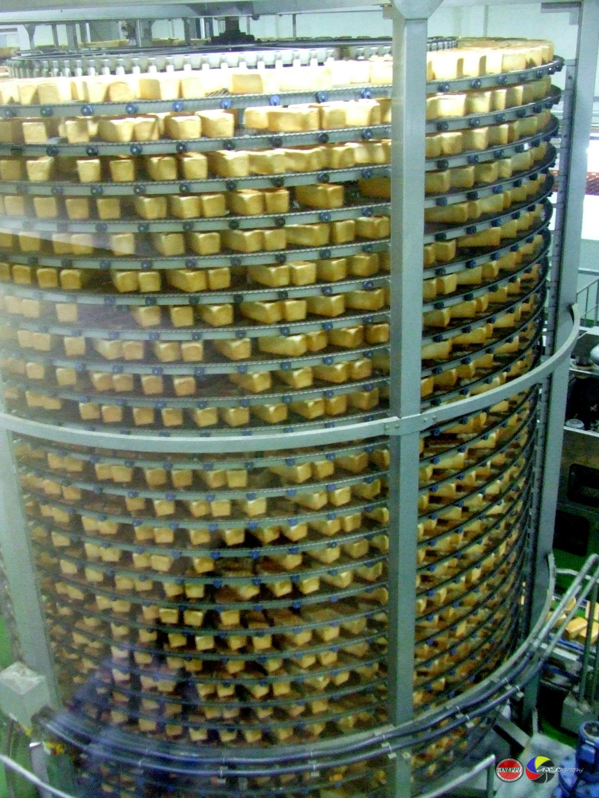 10 Reason Why you need to visit Gardenia Bread Plant | MKD