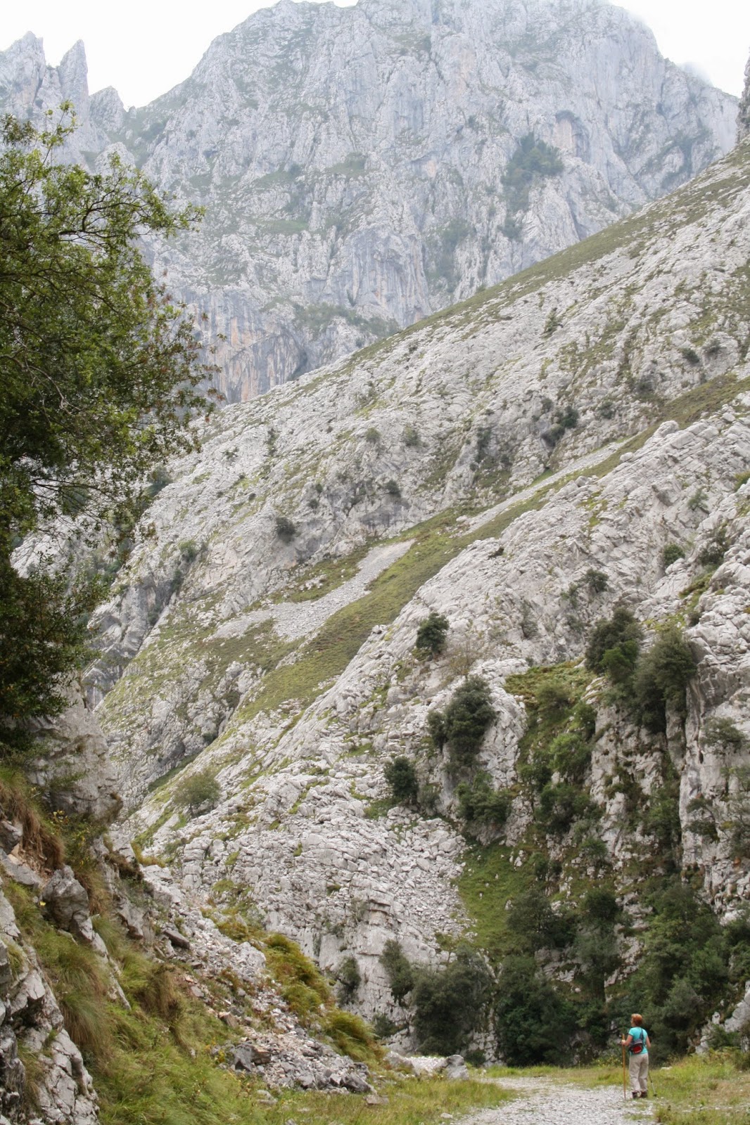 Rinconesibericos: PONCEBOS-Cabrales-Asturias-España