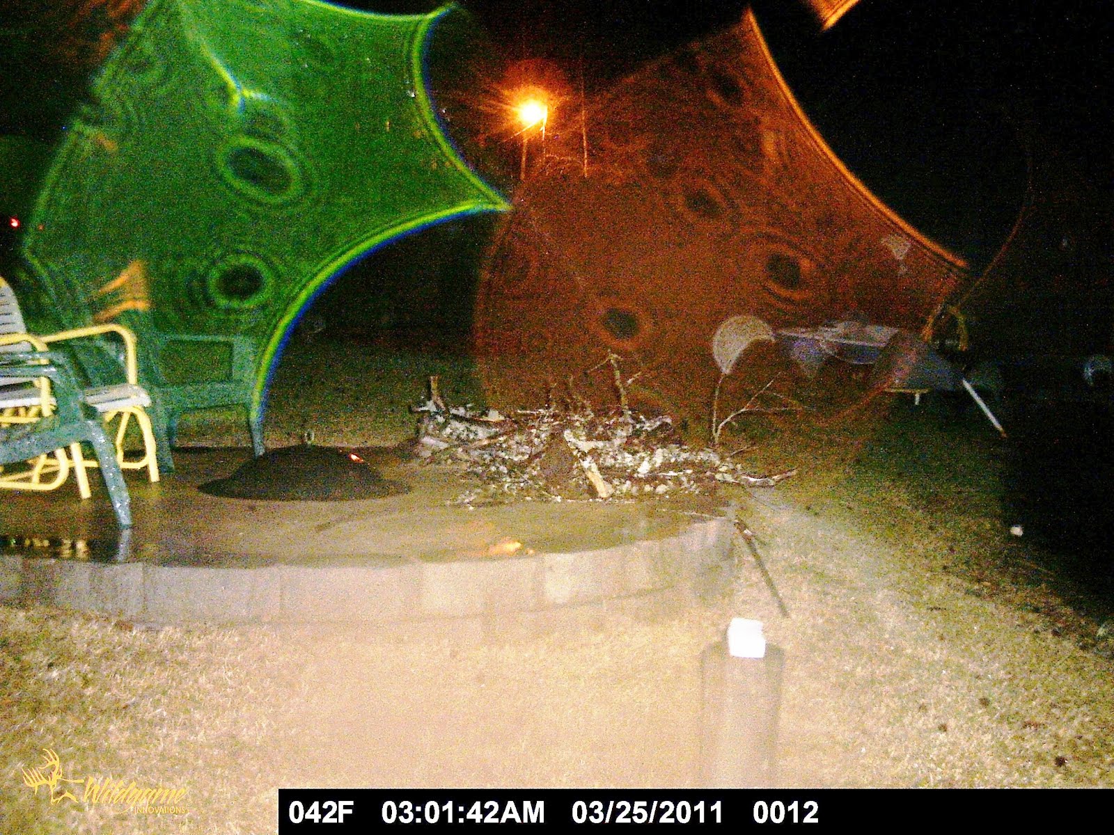 Phantoms and Monsters - Real Eyewitness Cryptid Encounter Reports