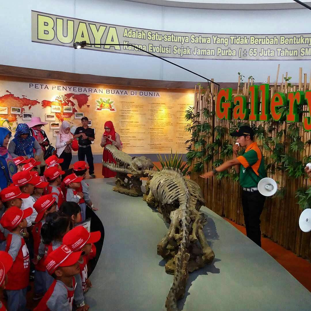 Predator Fun Park Taman Rekreasi Keluarga & Edukasi Anak