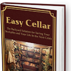 The Abundance Blueprint 2021