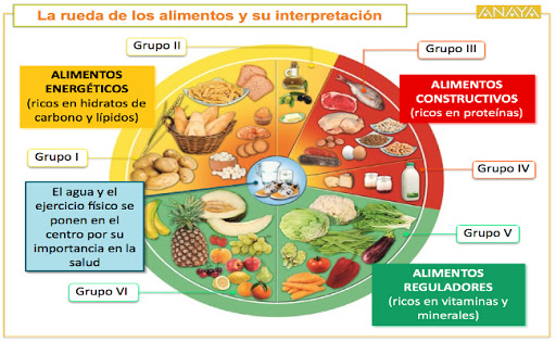 Ciencias Naturales Grado 6°: LA RUEDA DE LOS ALIMENTOS