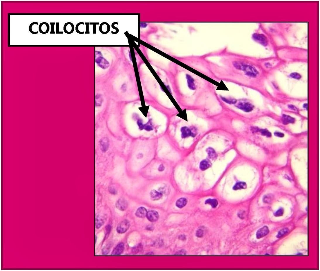 María Magdalena Bouchoux