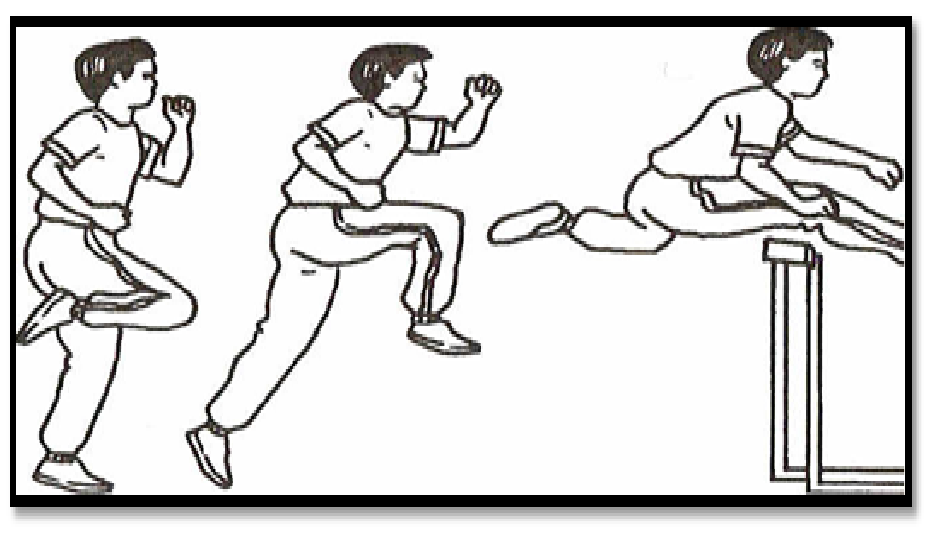 NOTA-NOTA PISMP PJ: Lari berpagar