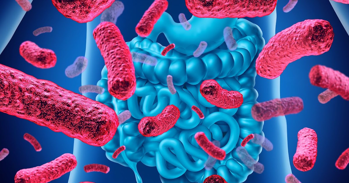 Microbiota intestinal: conozca por qué es tan importante para el ...