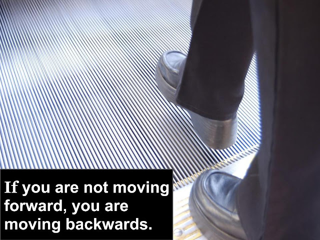 Leading and Learning in a STEM World: If You Are Not Moving Forward ...