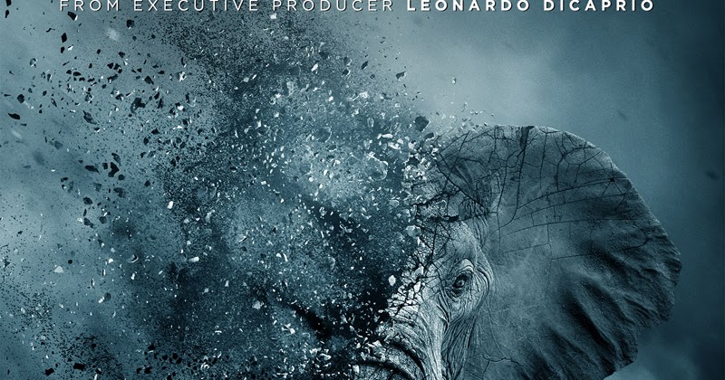The Ivory Game: Leonardo DiCaprio’s Documentary on Kenya’s Poaching ...