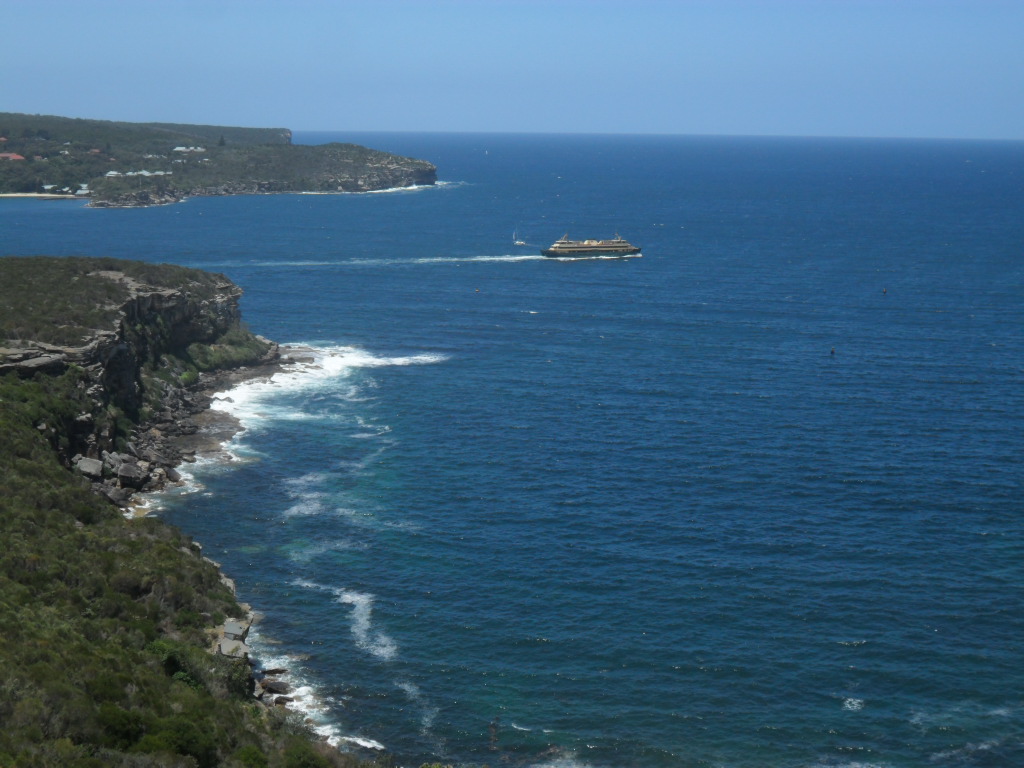 Freelance Flaneur: Rockin' the suburbs