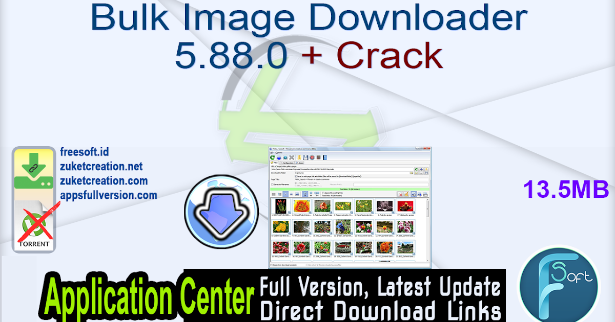 Bulk image downloader license key - susafer