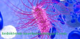 Penyakit Infeksi Saluran Kemih - KLIK INSTAL