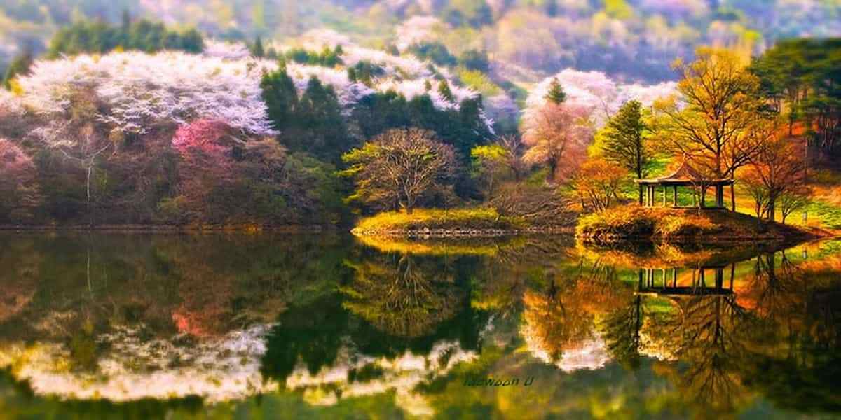 The Gorgeous Beauty Of South Korea In Reflected Landscapes That Will ...