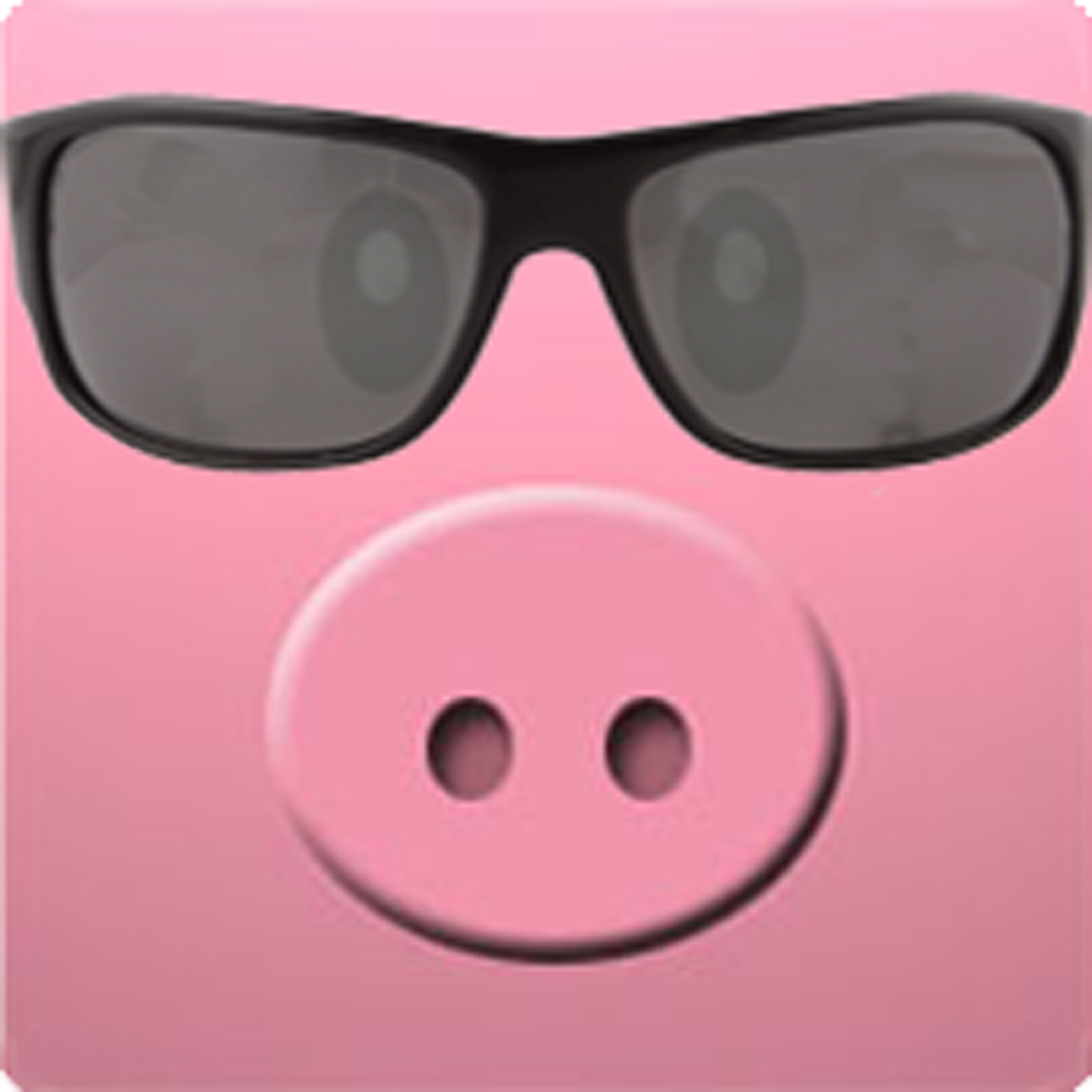 Introducing: Square Pig