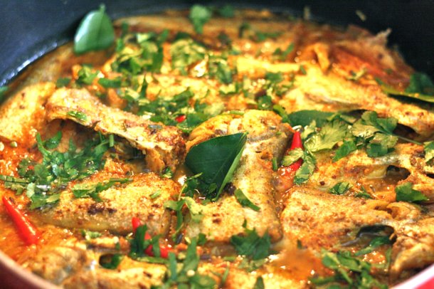 Food: fish curry [pabda] in tomato + mustard