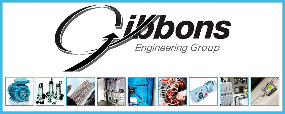 Understanding a single-phase electric motor nameplate - The Gibbons Group