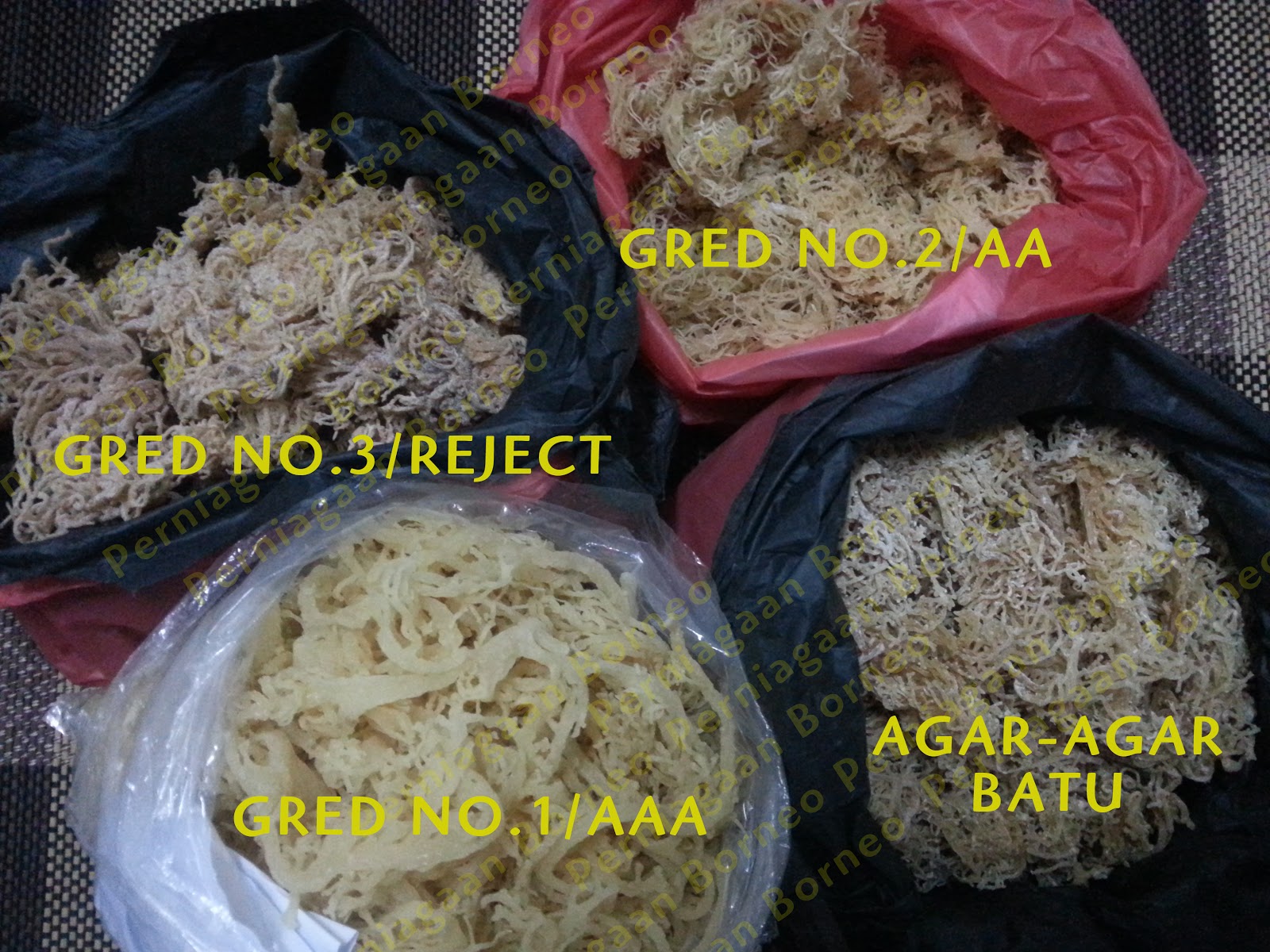 Galeri Kami ~ Pembekal Rumpai Laut/ Agar - agar Laut Semporna Gred No ...