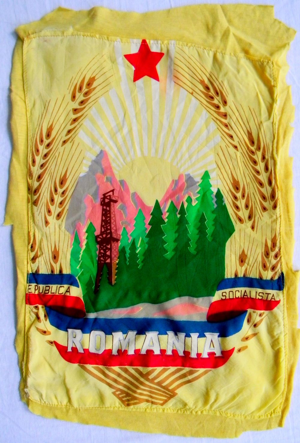Obiecte în căutare de colecţionari: Stema Republicii Socialiste Romania