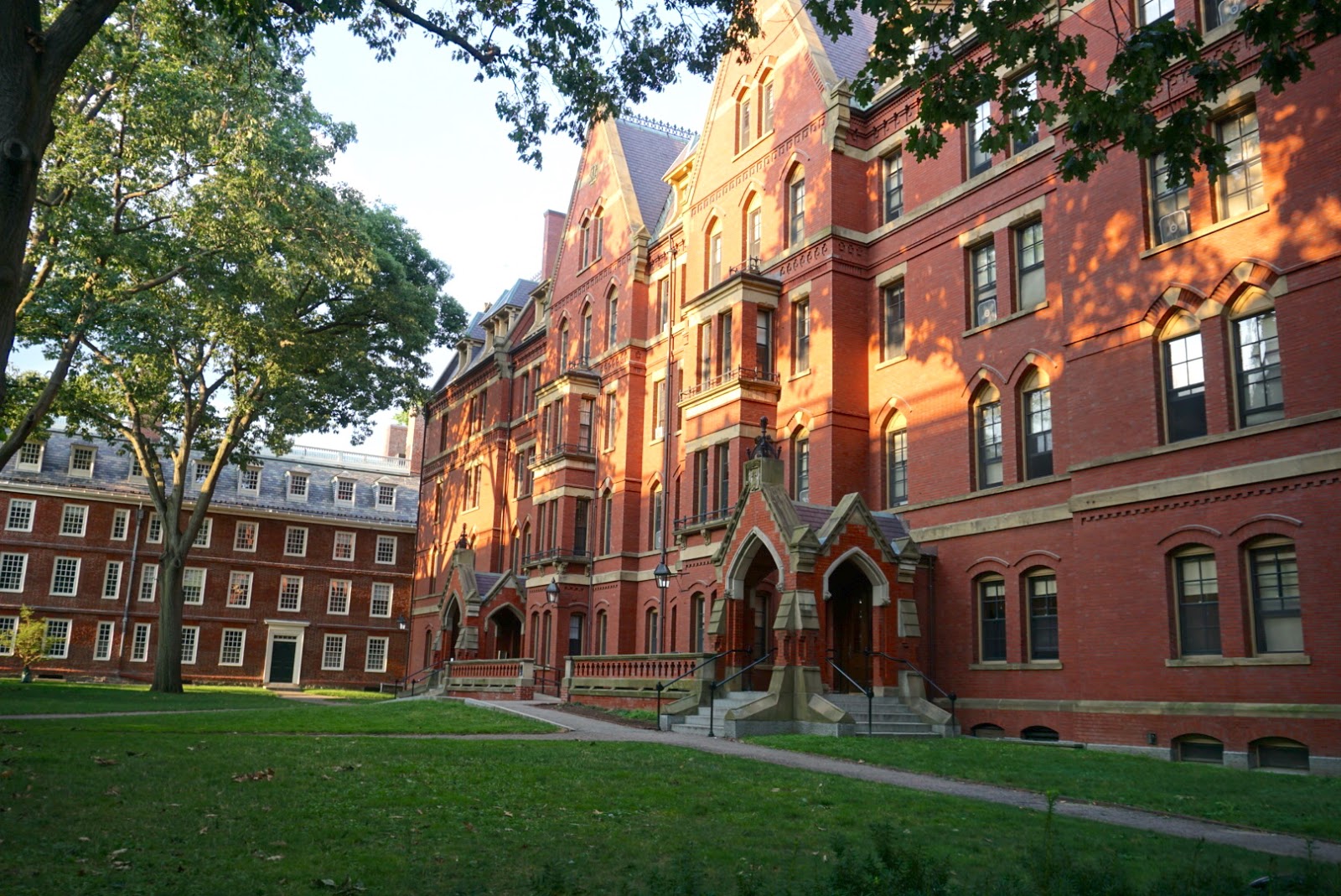 Harvard University: come visitare una delle università più rinomate al ... Harvard University: come visitare una delle università più rinomate al ...