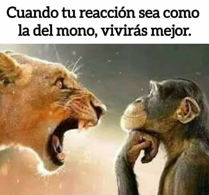 COMO EL MONO : SER FELIZ