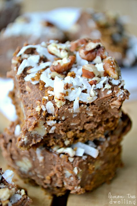 No Bake Chocolate Gingerbread Bars | The 36th AVENUE