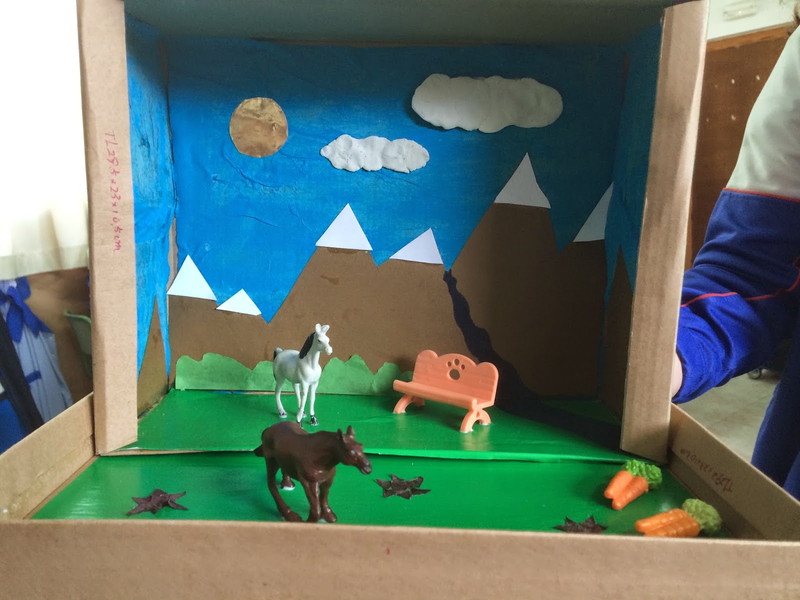 SCIENCE IS FUN!: SCIENCE PROJECTS 6TH GRADE