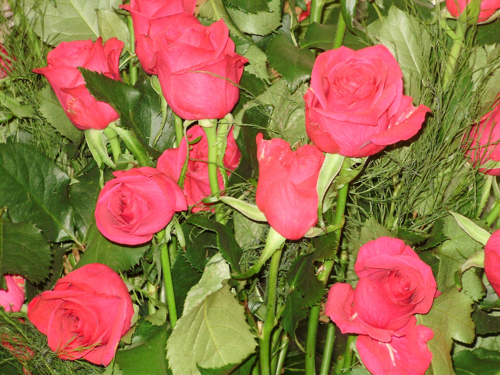 DK's Craft Café: Happy Easter! Roses for You :)