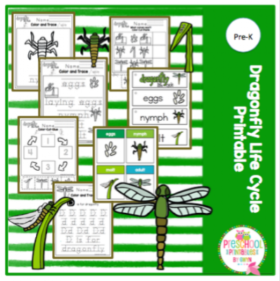 Dragonfly Life Cycle Printable ~ Preschool Printables