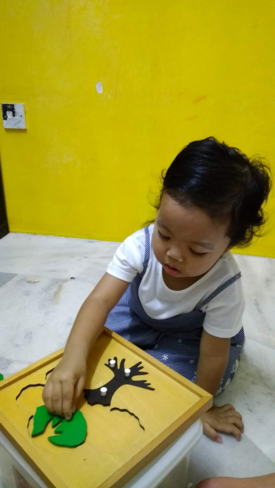 Taska Ummi Ida: Aktiviti 3 Tahun : Aktiviti Puzzle Pokok