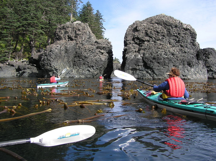 Haida Gwaii Tourism: Kayak Haida Gwaii!