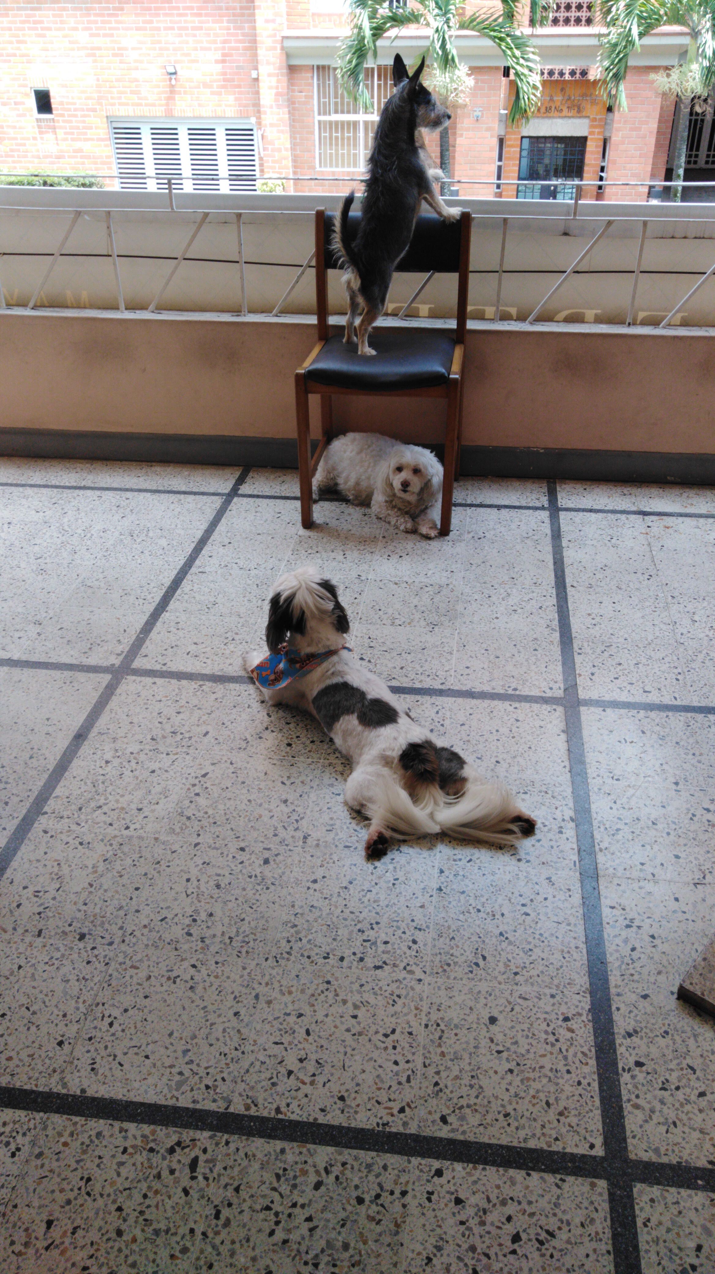 LA SECRETA PUERTA DEL SONÁMBULO