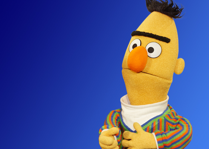 Bert For Classification With Tensorflow Hub