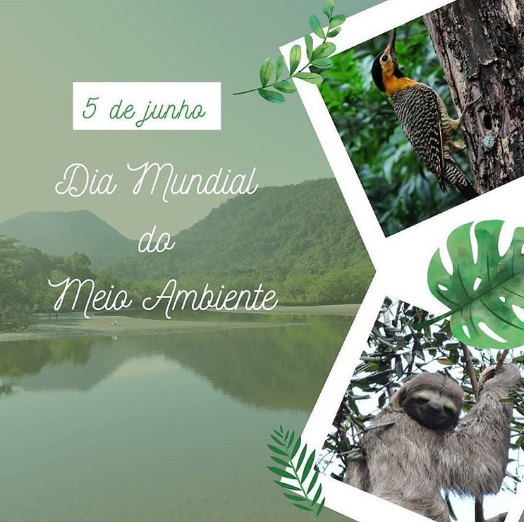 5 de Junho - Dia Mundial do Meio Ambiente - O que você fazer para ...